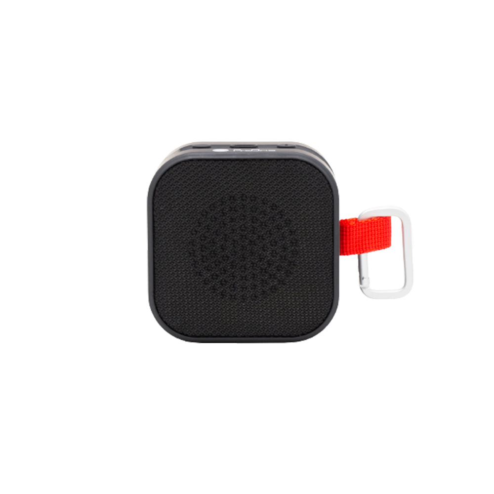 ProOne PSB4525 Portable Speaker